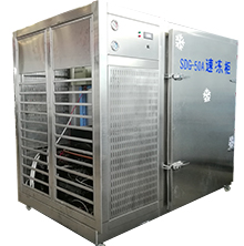 IQF – French Fries Machine