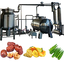 Weekly commentary on vacuum frying technology– a review – French Fries ...